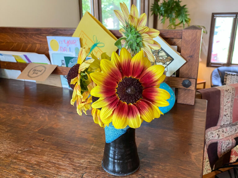 Sunflower collection